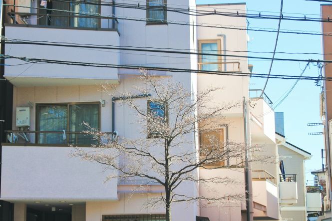 What are the main issues in Tokyo, Japan and how to deal with them?